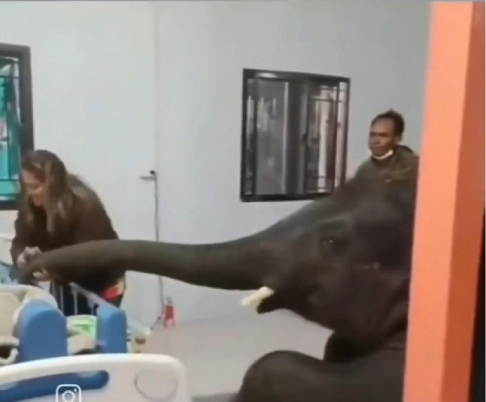 ရိုးရာလေးတိုတိုထွာထွာ - YOYARLAY Digital Media and News